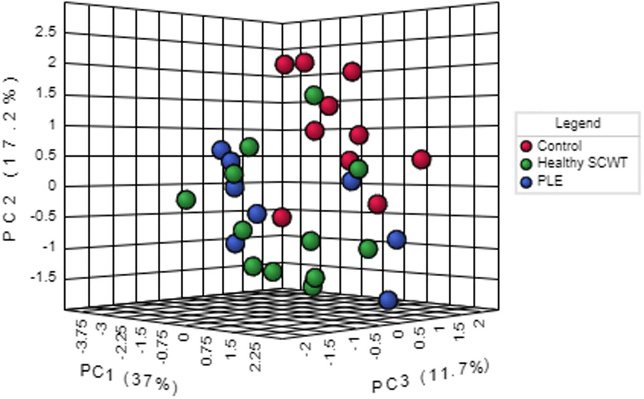 Researchers identify early signs of GI disease risk in dogs