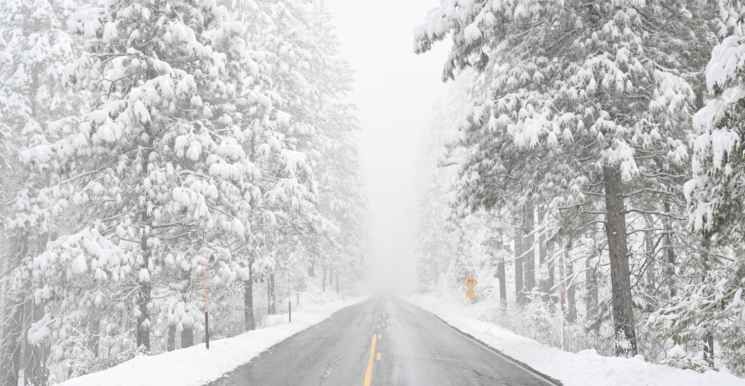 America's best winter road trips