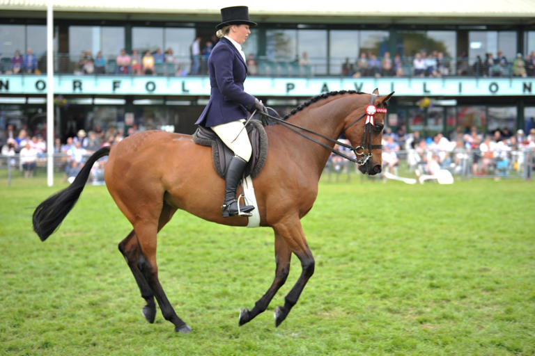 The popular South of England Show is set to return this June