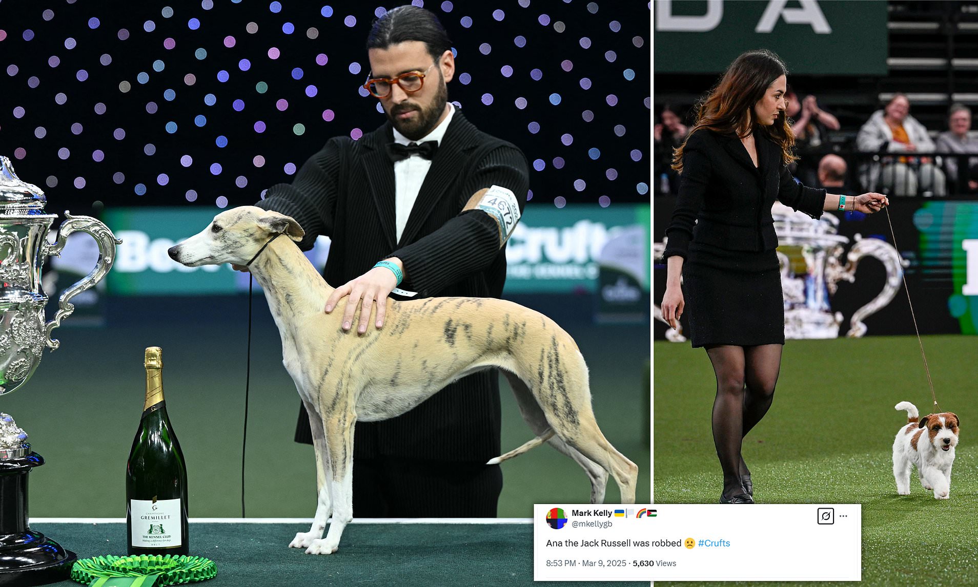 Crufts winner breaks silence after fans claimed favourite was 'robbed'