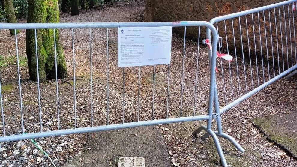 Scoperta una colonia di ratti in paese: scatta la disinfestazione