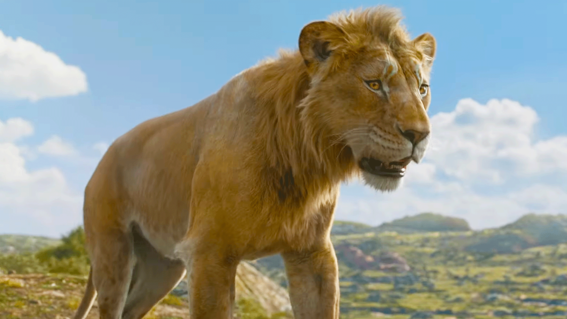 Mufasa: The Lion King - Official Disney Plus Release Date Trailer