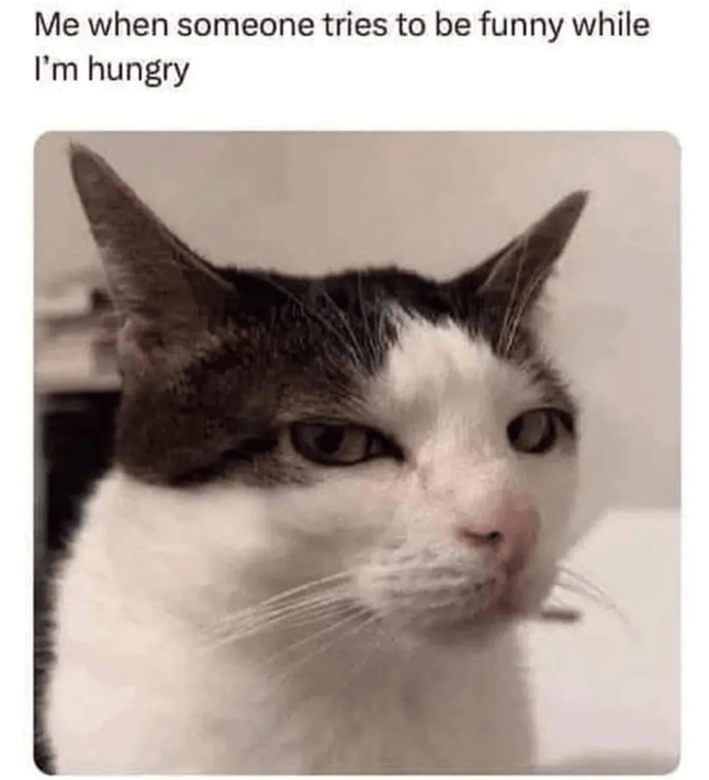 Quirky Animal Memes to Share With Your Off-Kilter Colleagues