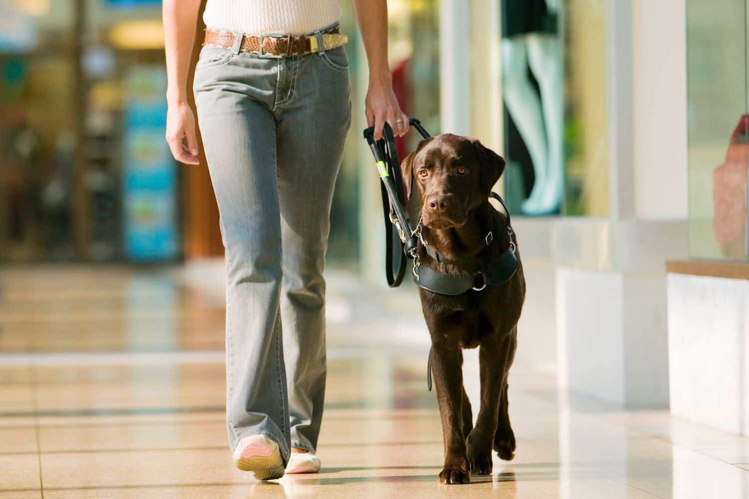 Woman Says She Was Disinvited from Her Niece's Wedding Because She Has ...