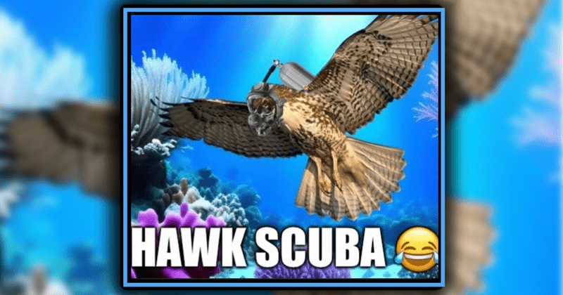 Action-Packed Animal Memes for Homebodies Who Get Their Awwdrenaline ...