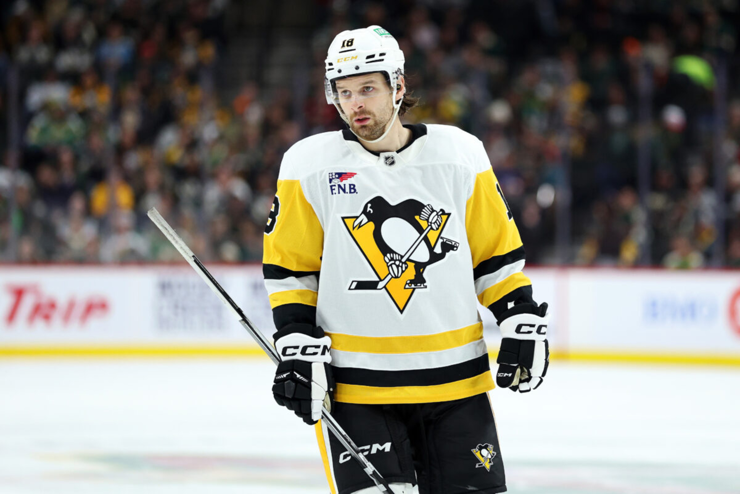 What Are the Penguins Getting With Tommy Novak?