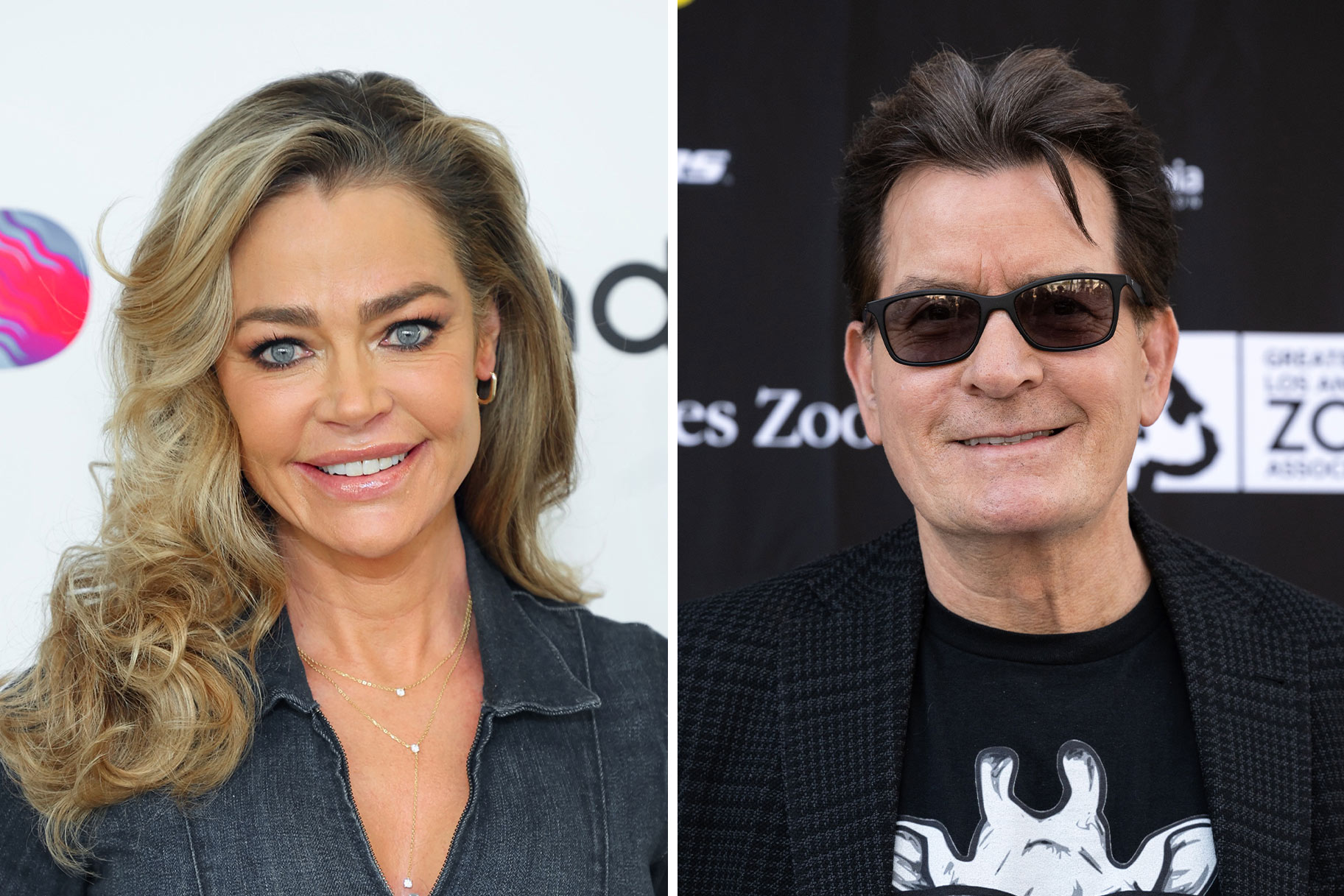 Denise Richards' Surprising Fact About Charlie Sheen Wedding: "People ...