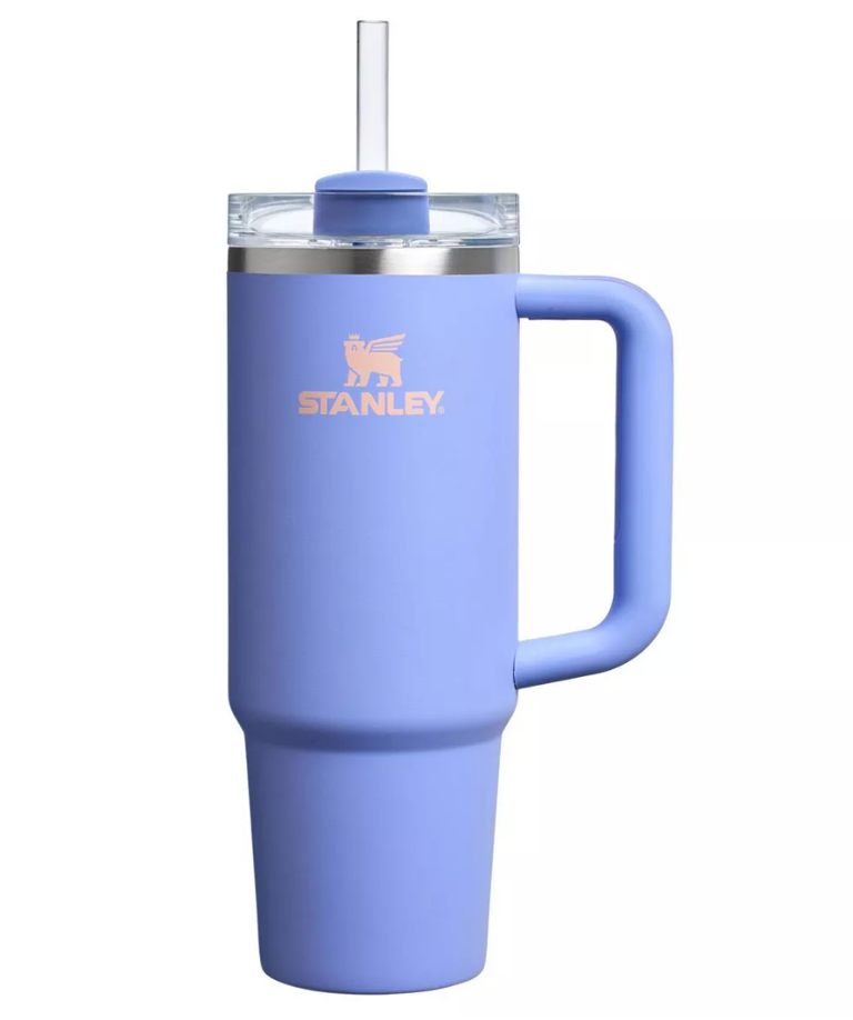 Target’s New March 2025 Stanley Colors Are So Spring-y