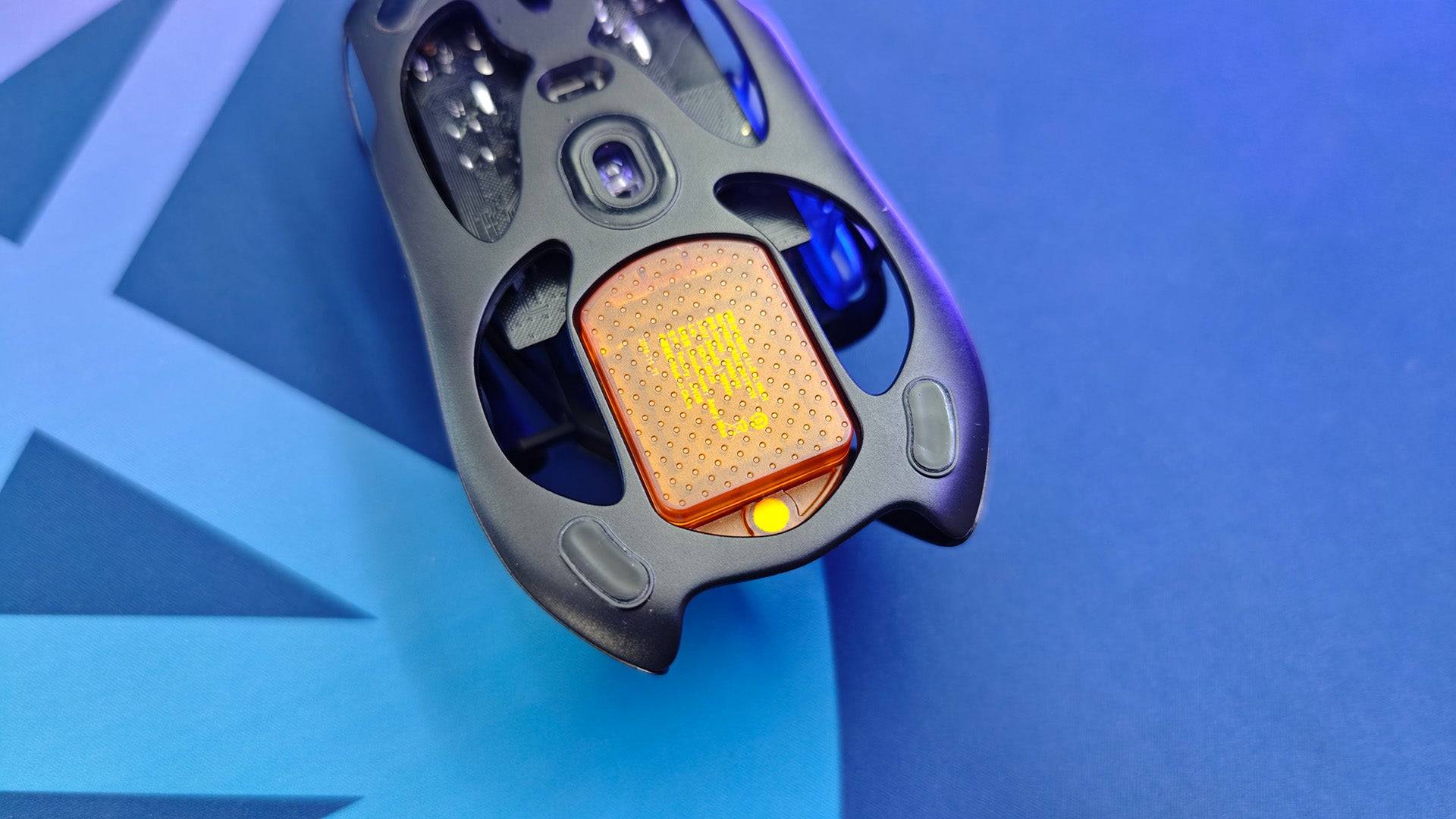 Angry Miao Infinity - Photos