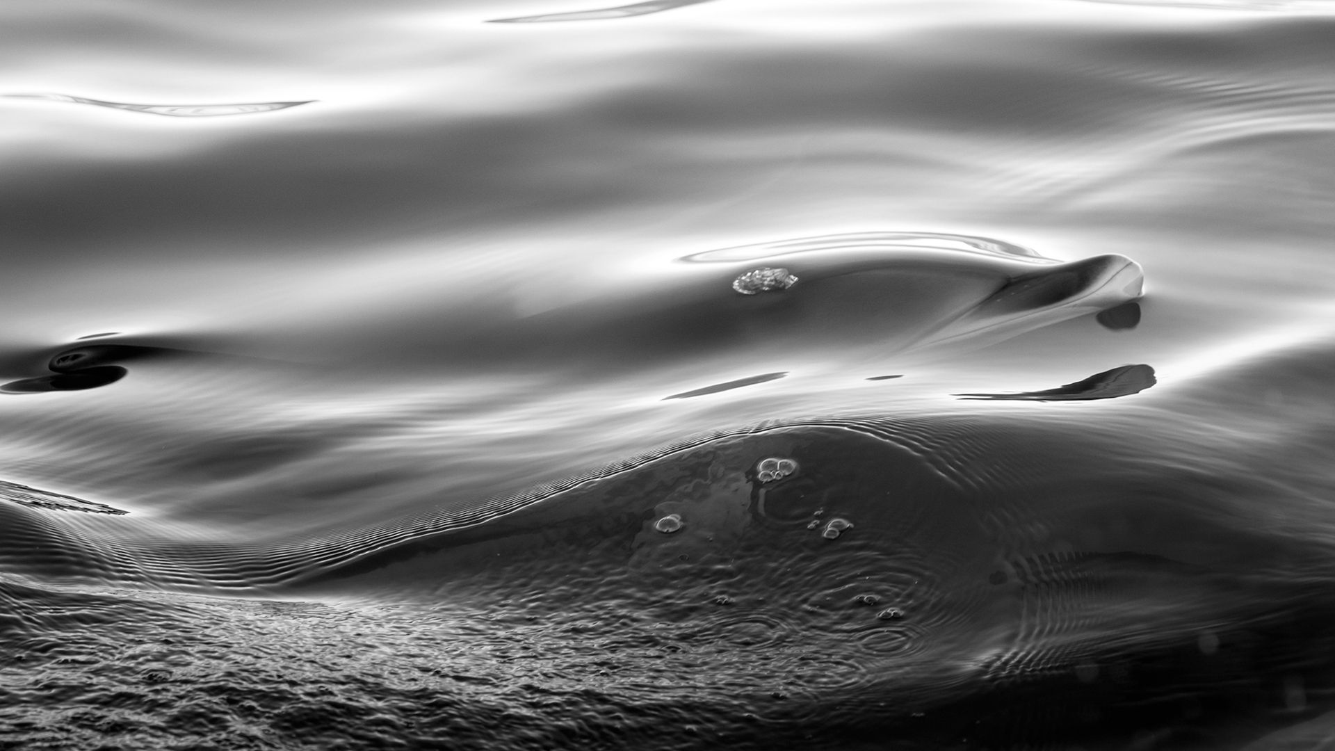 But what the heck is it? Intriguing abstract image wins CEWE Student ...