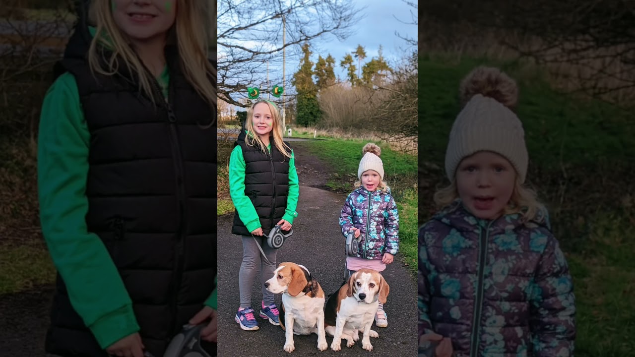 Six Years of Beagle Love in One Clip