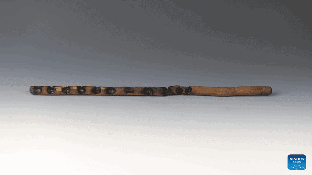 A 7,000-Year-Old Fire-Starting Kit Was Just Unearthed in China