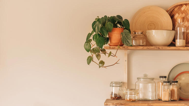 Avoid These Mistakes When Placing Your Plants On Shelves