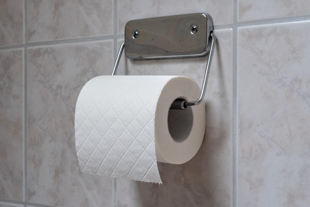 This Is Why You Should Stop Using Toilet Paper, According to Harvard Doctor