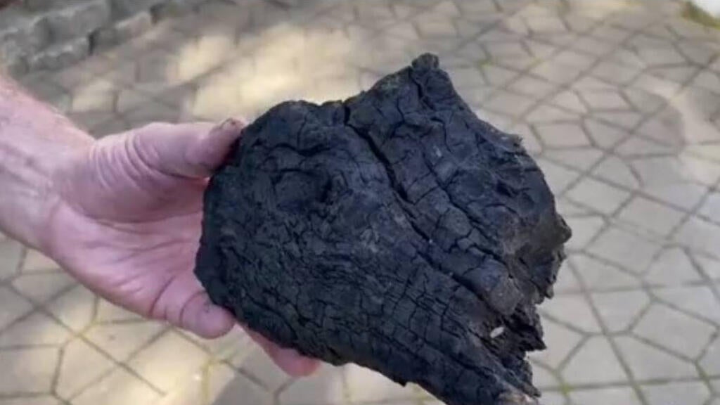 North America's 1st biochar facility opens following partnership with ...