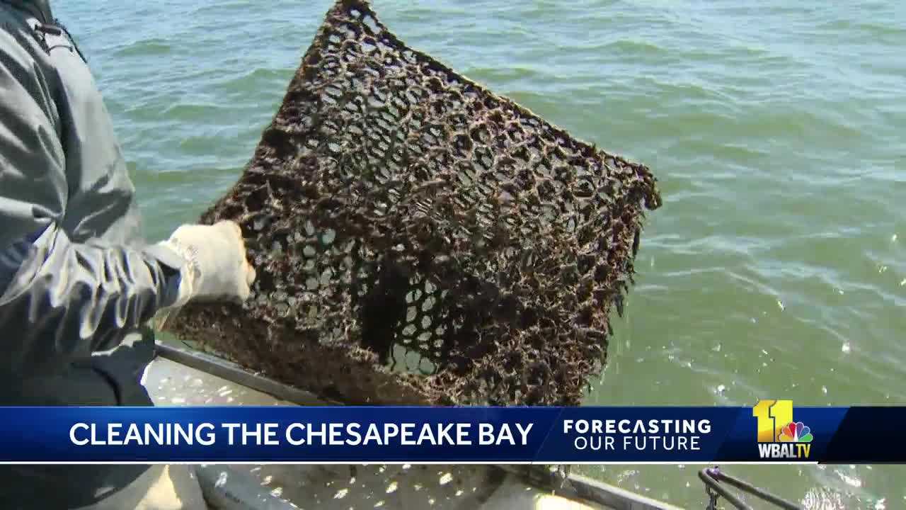 5-day Chesapeake Bay cleanup effort underway