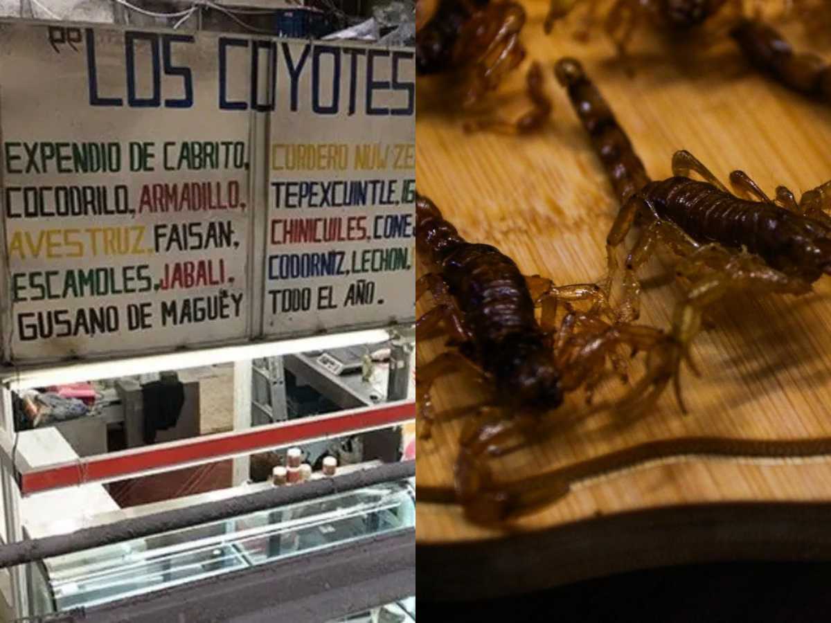 Historia del mercado de San Juan: la meca de la comida exótica en la CDMX