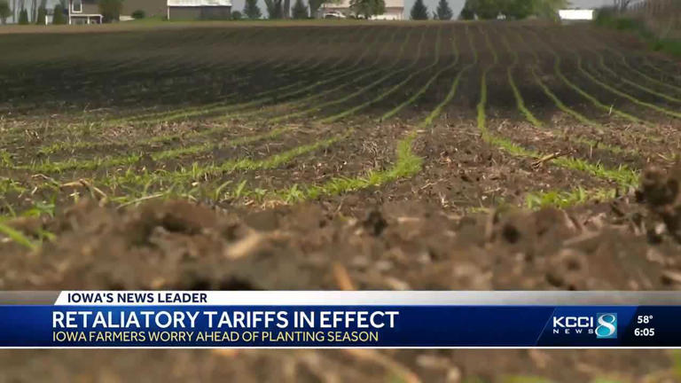 Impact of retaliatory tariffs on Iowa farmers