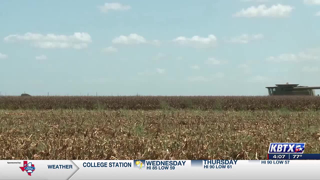 Focus at Four: Farmers ‘concerned’ as reciprocal tariffs target ...