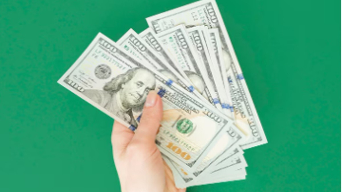 There are many doubts about the DOGE stimulus check, such as who will ...