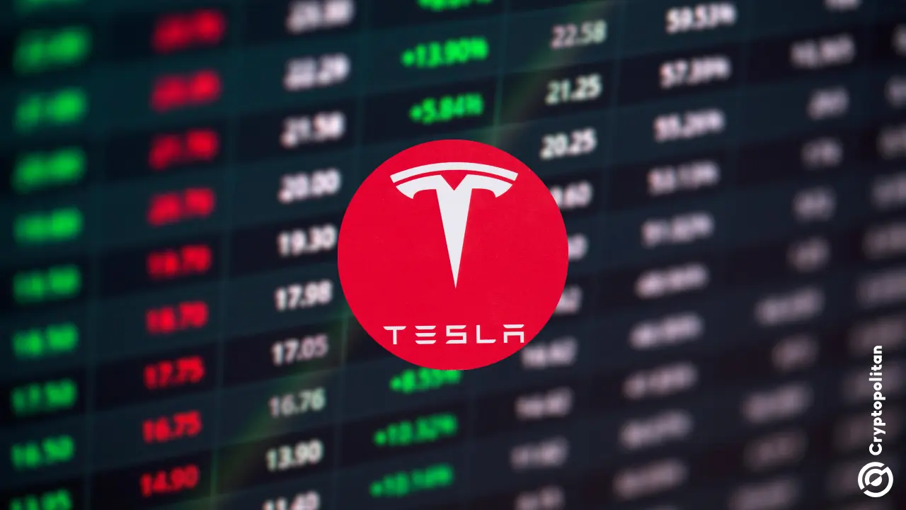 Tesla stock rises after worst day in almost 5 years, Morgan Stanley ...