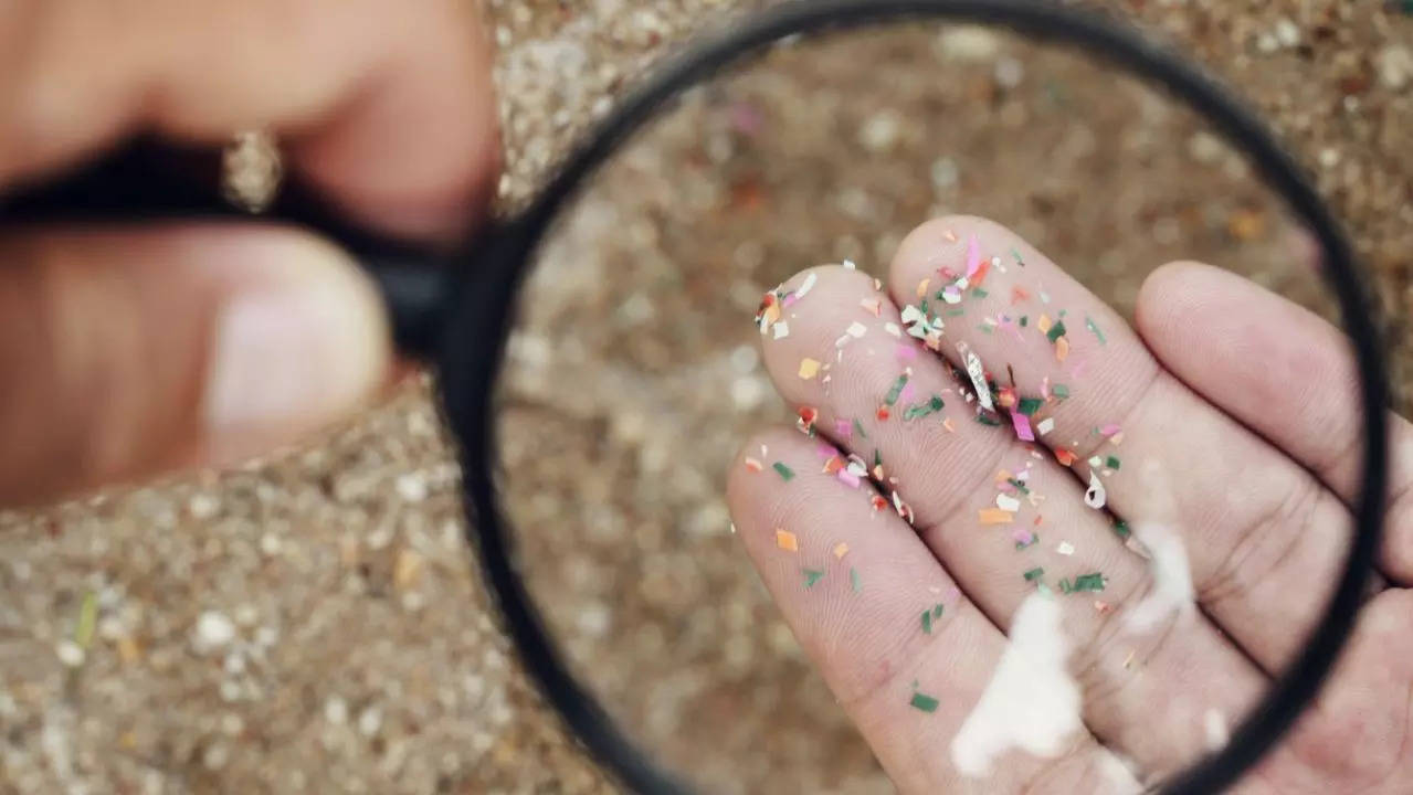 Are microplastics turning bacteria into antibiotic-resistant superbugs ...