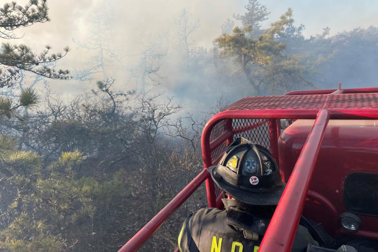 Here’s What We Know About The Long Island Wildfires