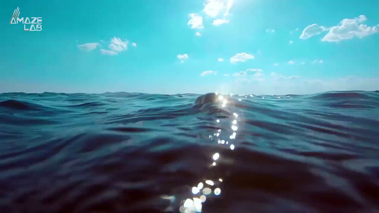 This is The Demon Shark That Marine Biologists Have Been Trying to ...