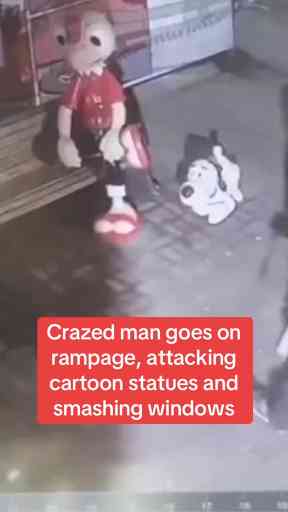 Bizarre Crazed Man Attacks Cartoon Figures