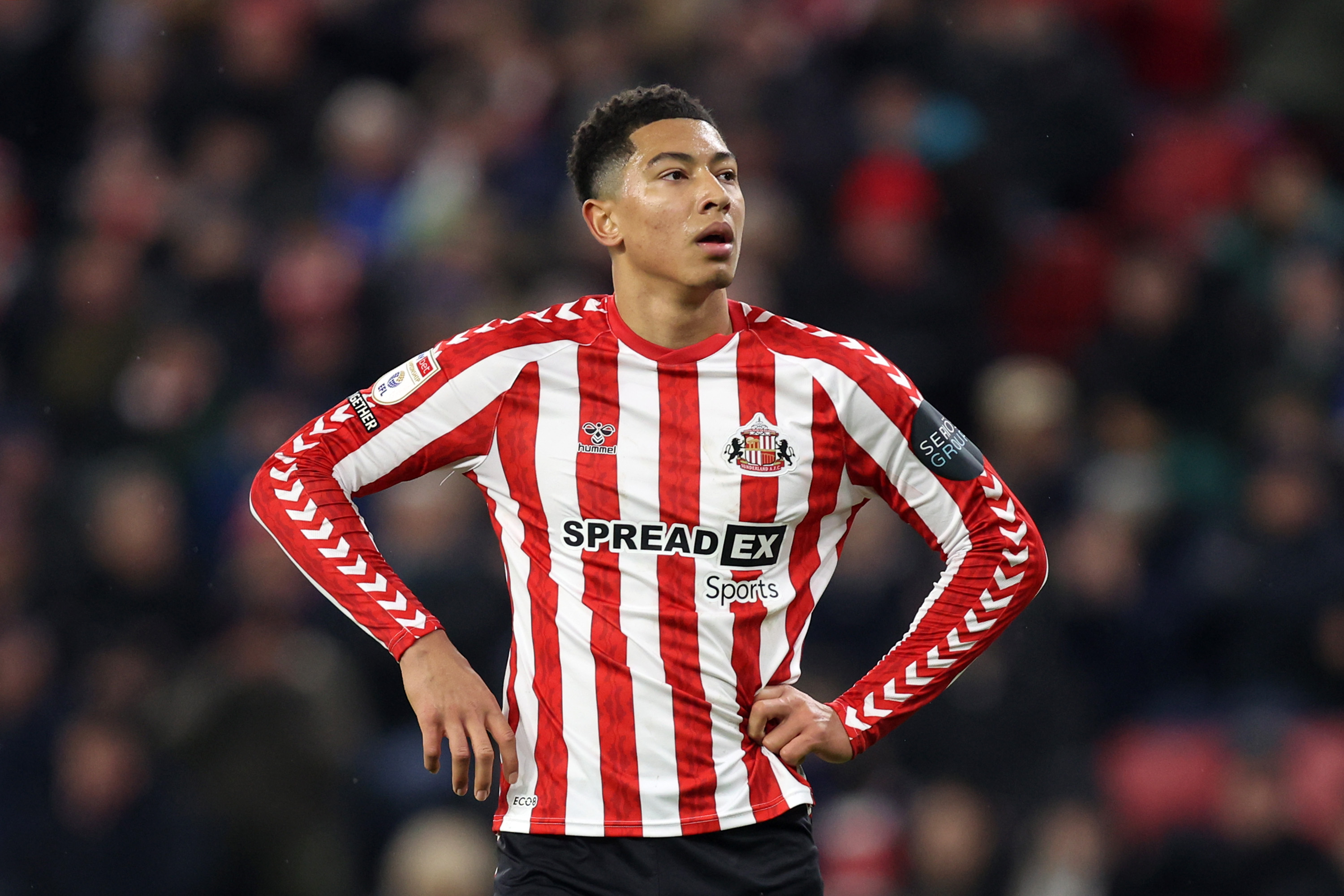 'Le Bris feels...' - Sunderland writer Phil Smith explains reason for ...