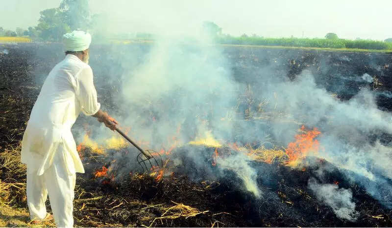 Three Raj cities ranked among world’s Top 20 most polluted Three Raj cities ranked among world’s Top 20 most polluted