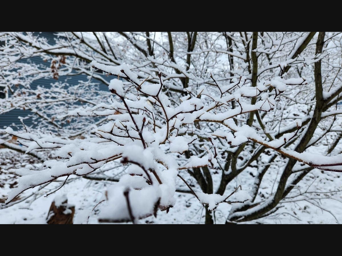 Up To 20 Inches Of Snow Expected In Riverside County Mountains