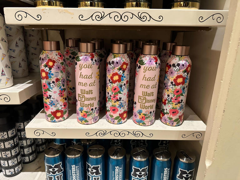 New 'You Had Me at Walt Disney World' Metal Tumbler in Magic Kingdom