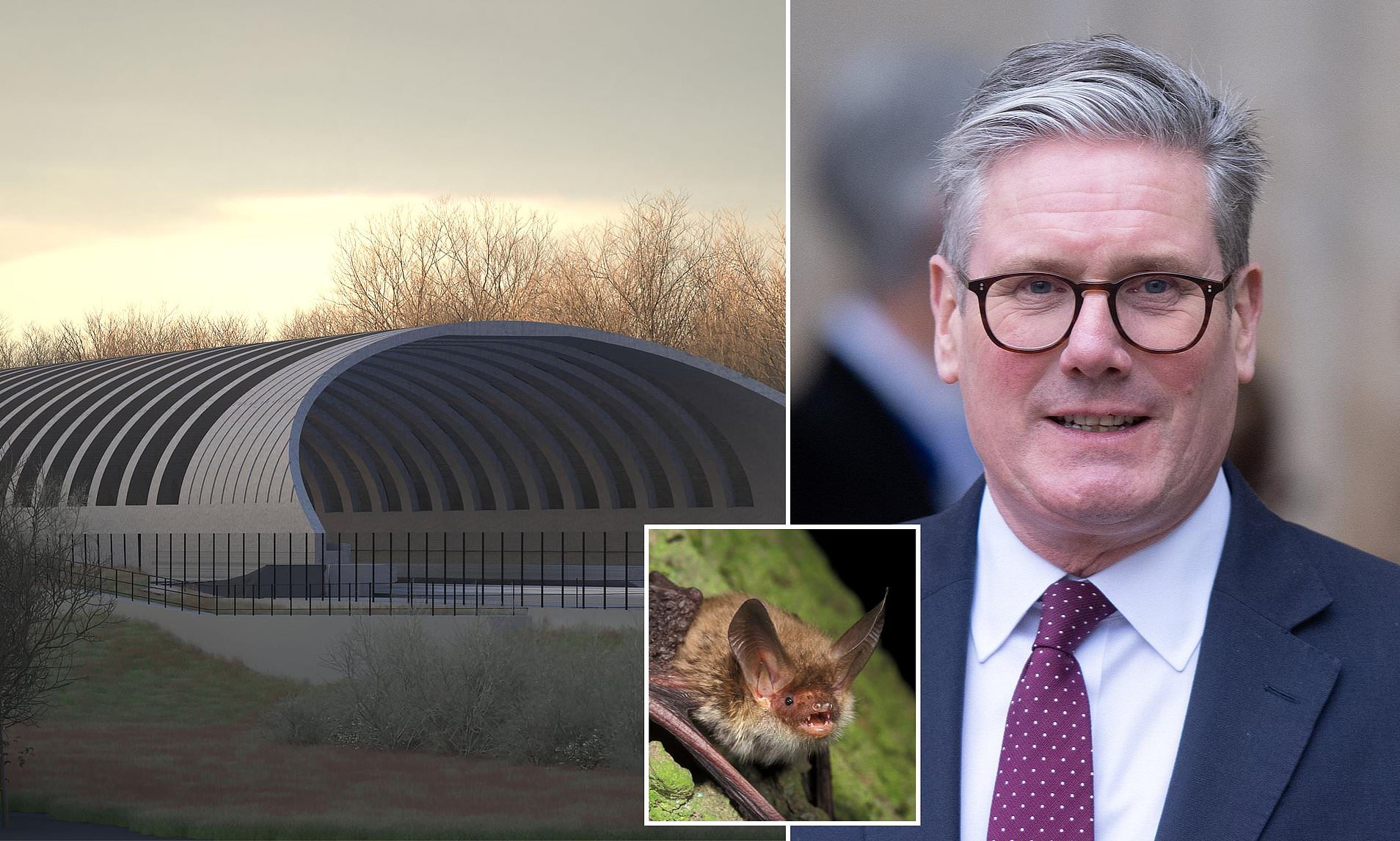 Quango to get powers to purchase land to offset damage done to nature