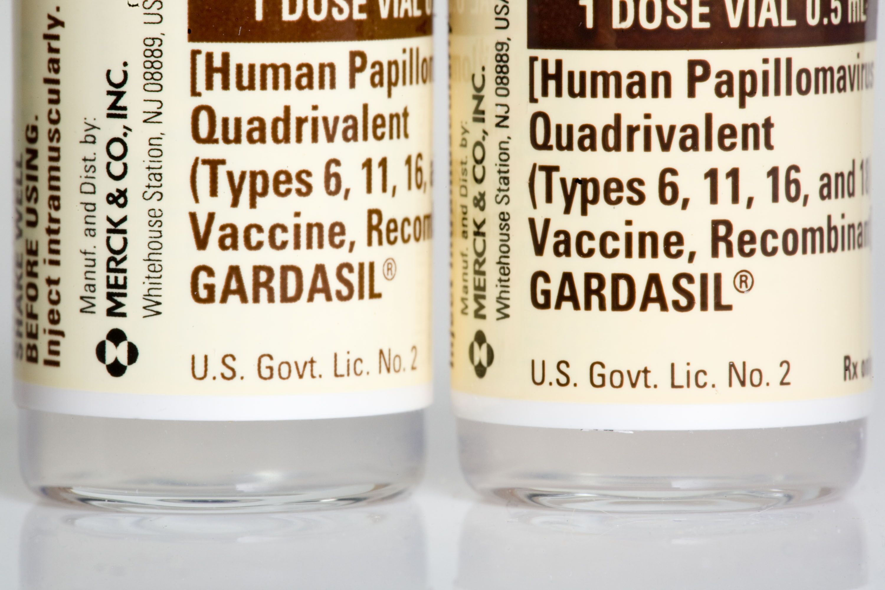 Federal Judge Rules in Merck’s Favor in Gardasil Safety Suit