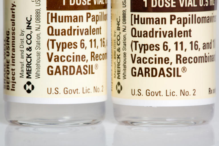 Federal Judge Rules in Merck’s Favor in Gardasil Safety Suit