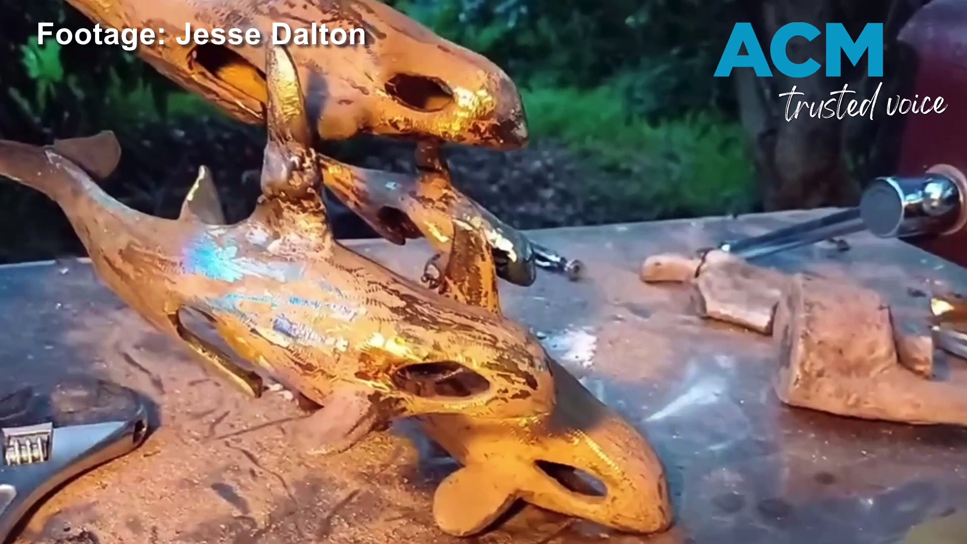 Eden ceramic artist sculpts killer whaling history