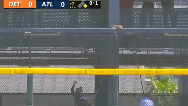 Braves-Tigers Spring Training Game Unexpectedly Featured Raccoon ...