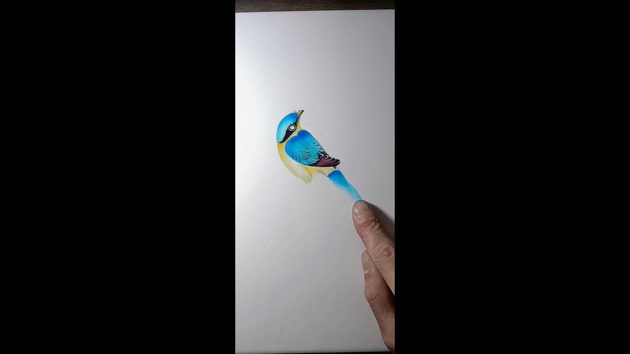 Illustrating The Blue Bird Art