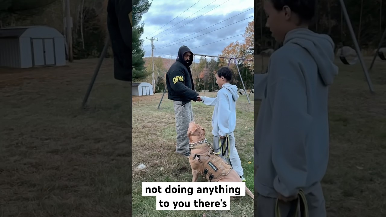 Phenomenal dog does an amazing job protecting a boy