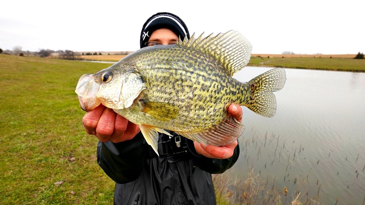 Secret Spot Yields Slab Crappie: An Angler's Discovery