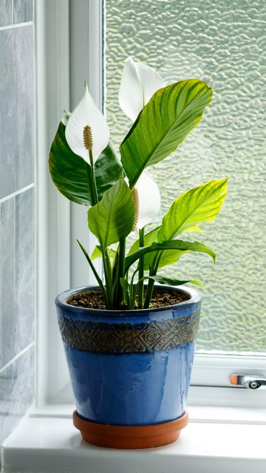 9 easy steps to keep your peace lily healthy in your bedroom