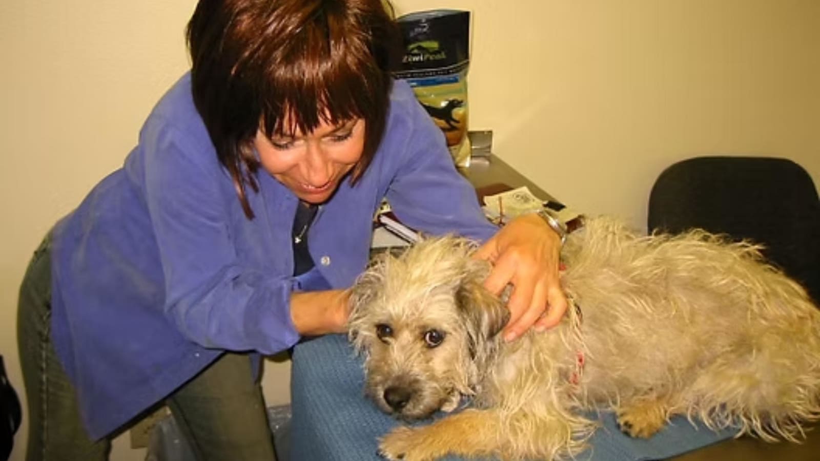 Vet Who Cared for Gene Hackman's Dogs Reveals Why Their Dog's Death ...