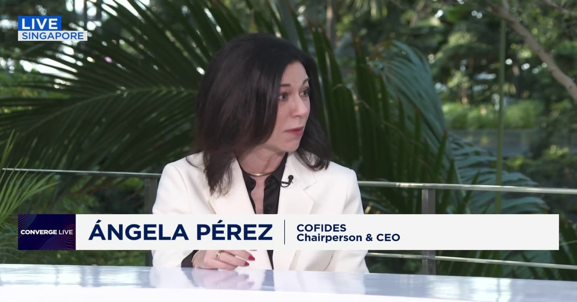 Europe is 'waking up', looking to become more competitive, says COFIDES CEO