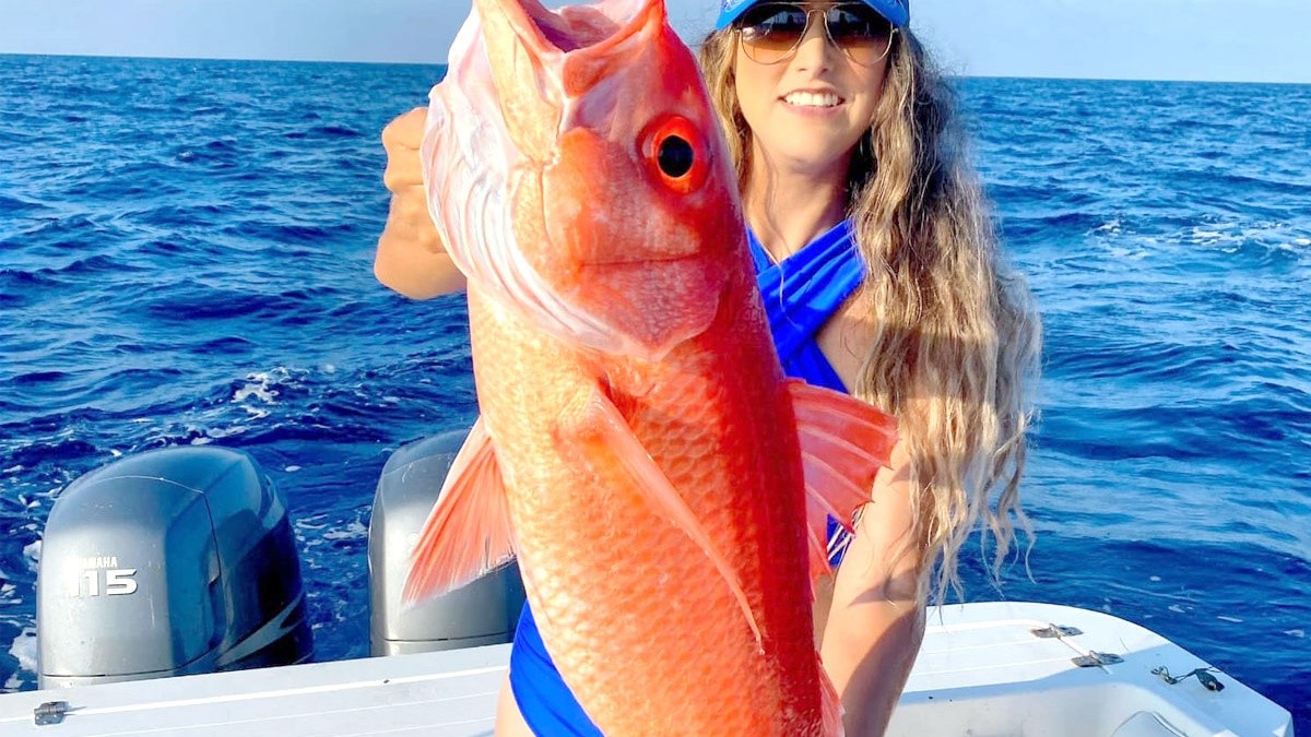 Este es el pargo rojo, uno de los peces más buscados por su tamaño y ...