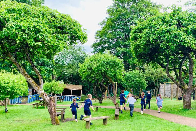 Frome school praised by Ofsted as ‘happy, welcoming and kind’