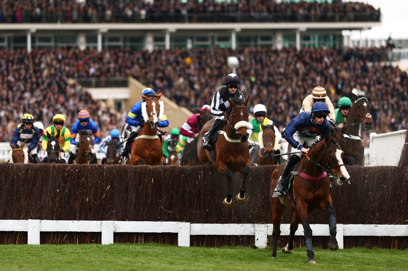 Cheltenham Festival day 2 tips: Ruby Walsh's selections after punter ...
