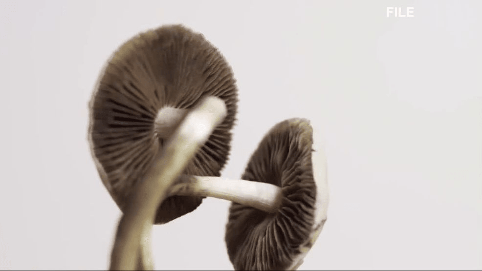 Nevada legislature hears resolution seeking to expand psychedelic medicine Nevada legislature hears resolution seeking to expand psychedelic medicine