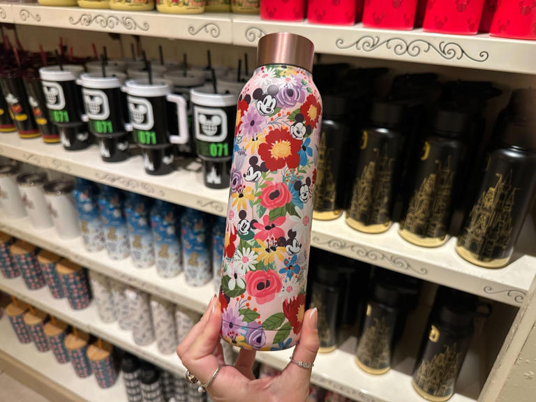 New 'You Had Me at Walt Disney World' Metal Tumbler in Magic Kingdom