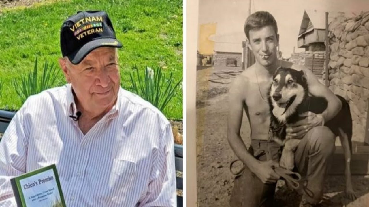 Vietnam Vet Makes Vow To Rescue 50,000 Dogs In Honor Of The K9 He Left ...